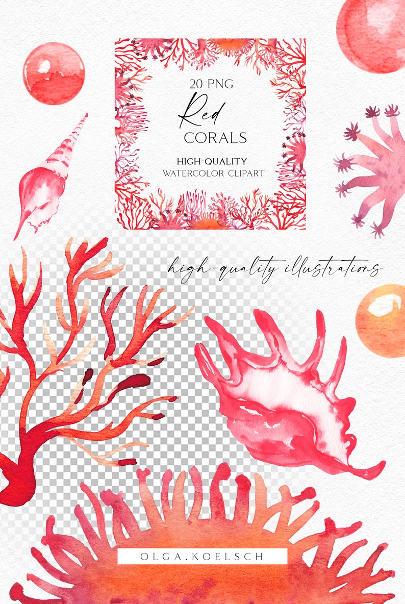 Watercolor Coral Clipart, Seashells Clipart, Watercolor Sea Coral Reef ...