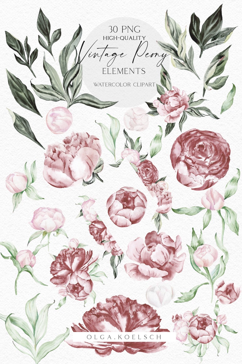 Watercolor Boho Floral Elements Clipart Dusty Pink Flowers - Etsy