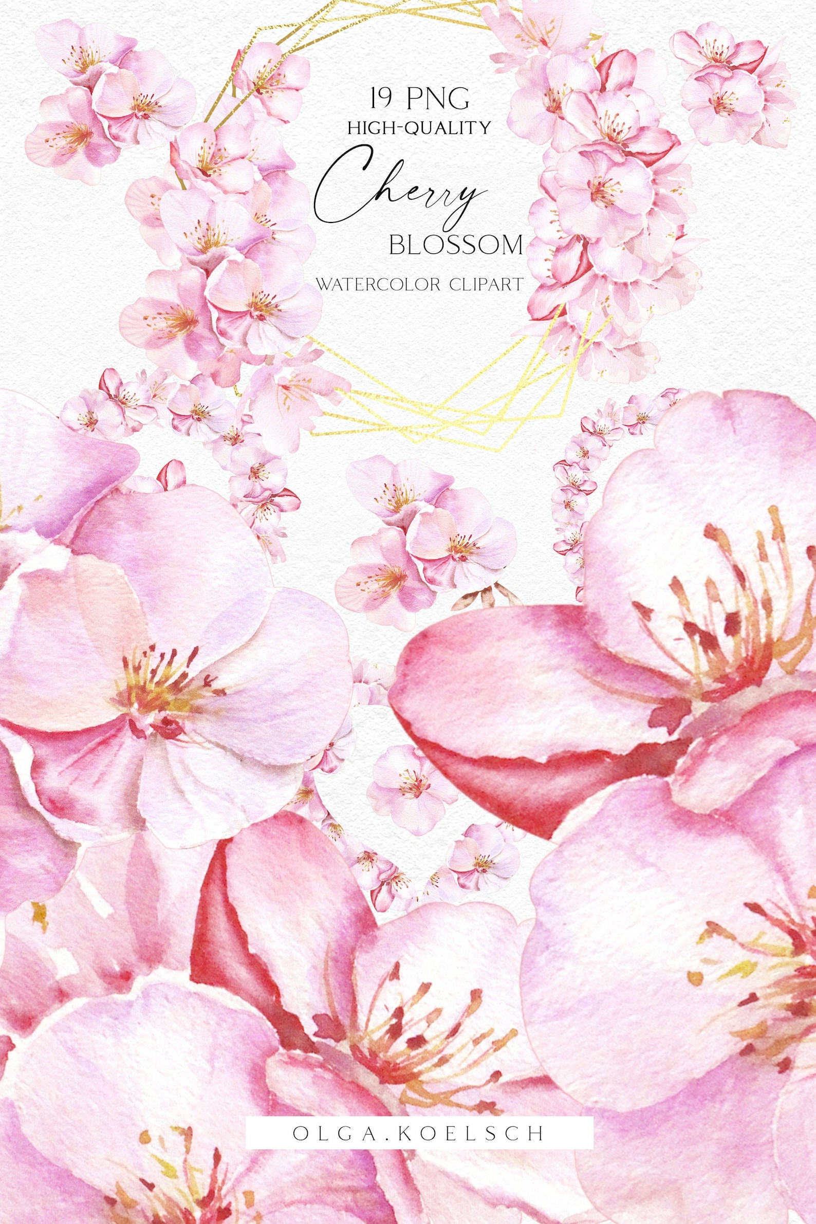 Cherry Blossom Clipart. Watercolor Sakura Blossom Png Pink - Etsy