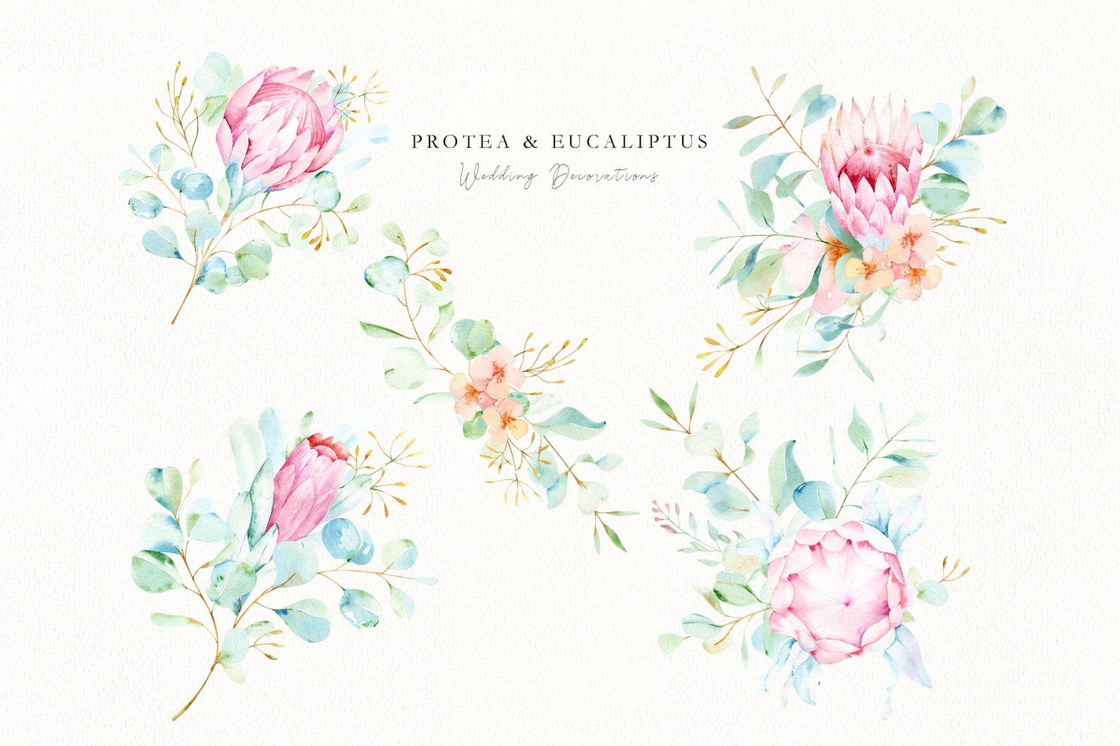 Watercolor Pink Floral Eucalyptus Clipart Tropical Protea - Etsy