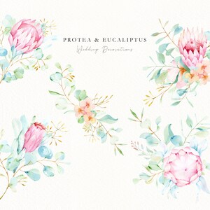Watercolor Pink Floral Eucalyptus Clipart, Tropical Protea Flowers for ...