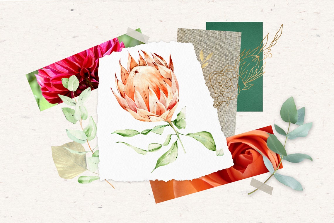 Watercolor Tropic Boho Flower Clipart. Greenery Eucalyptus | Etsy