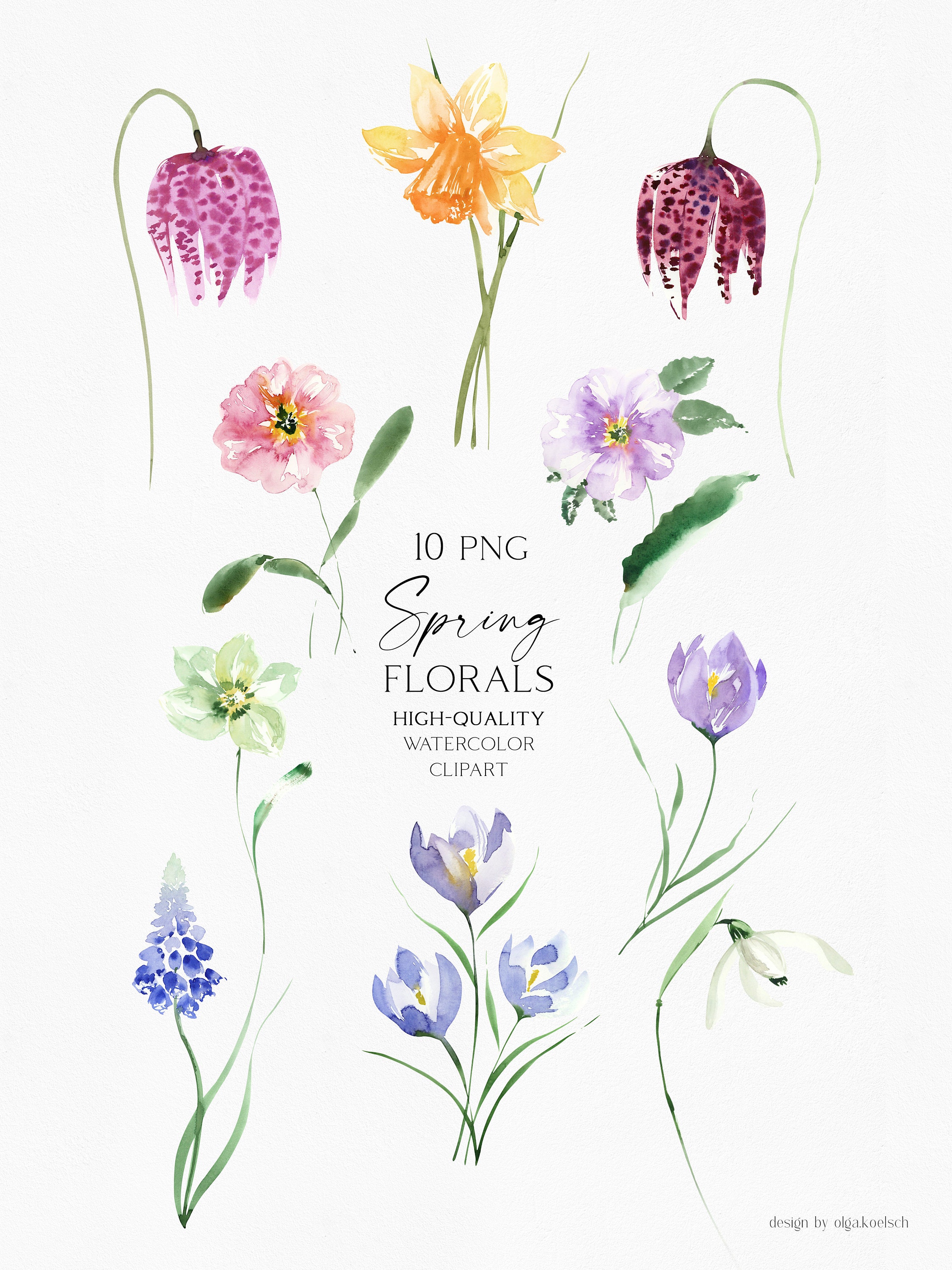 Watercolor Spring Flower Clipart March Birth Flower Daffodil - Etsy