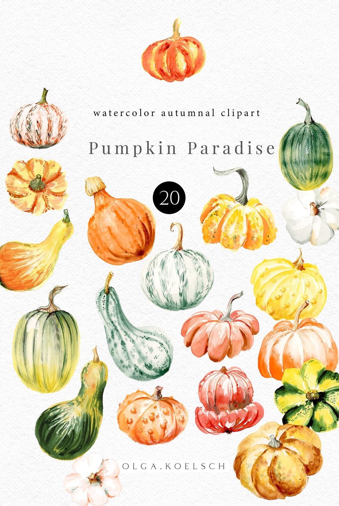 Watercolor Pumpkin Clipart, Harvest Thanksgiving Clipart, Hand-painted ...