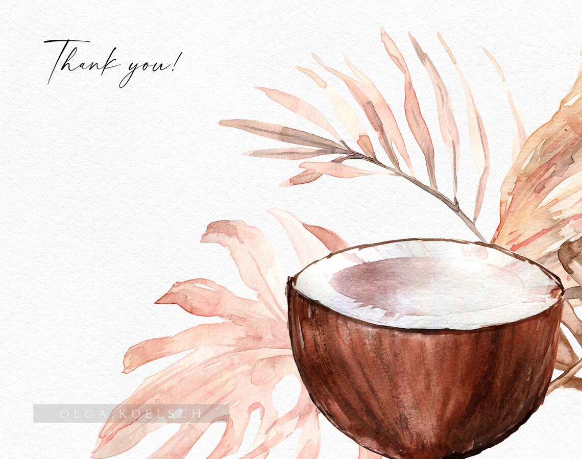 Watercolor Coconut Clipart Boho Tropical Clipart Coconut Png - Etsy