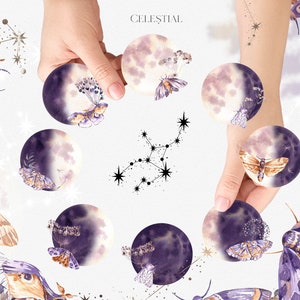 Watercolor Boho Floral Clipart, Zodiac Png, Constellation Clipart ...