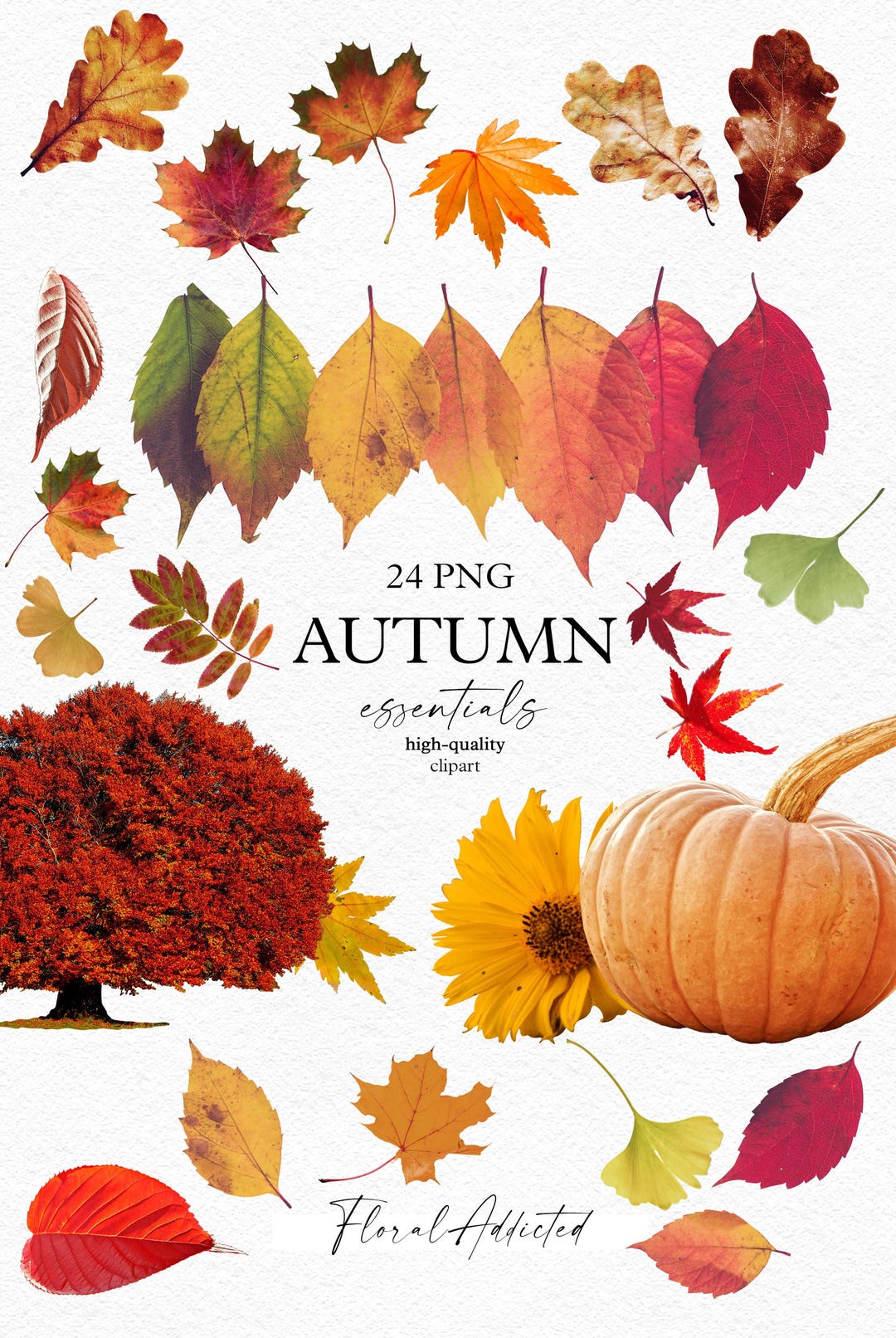 Watercolor Autumn Leaves Photo Clipart, Realistic Fall Clipart for ...