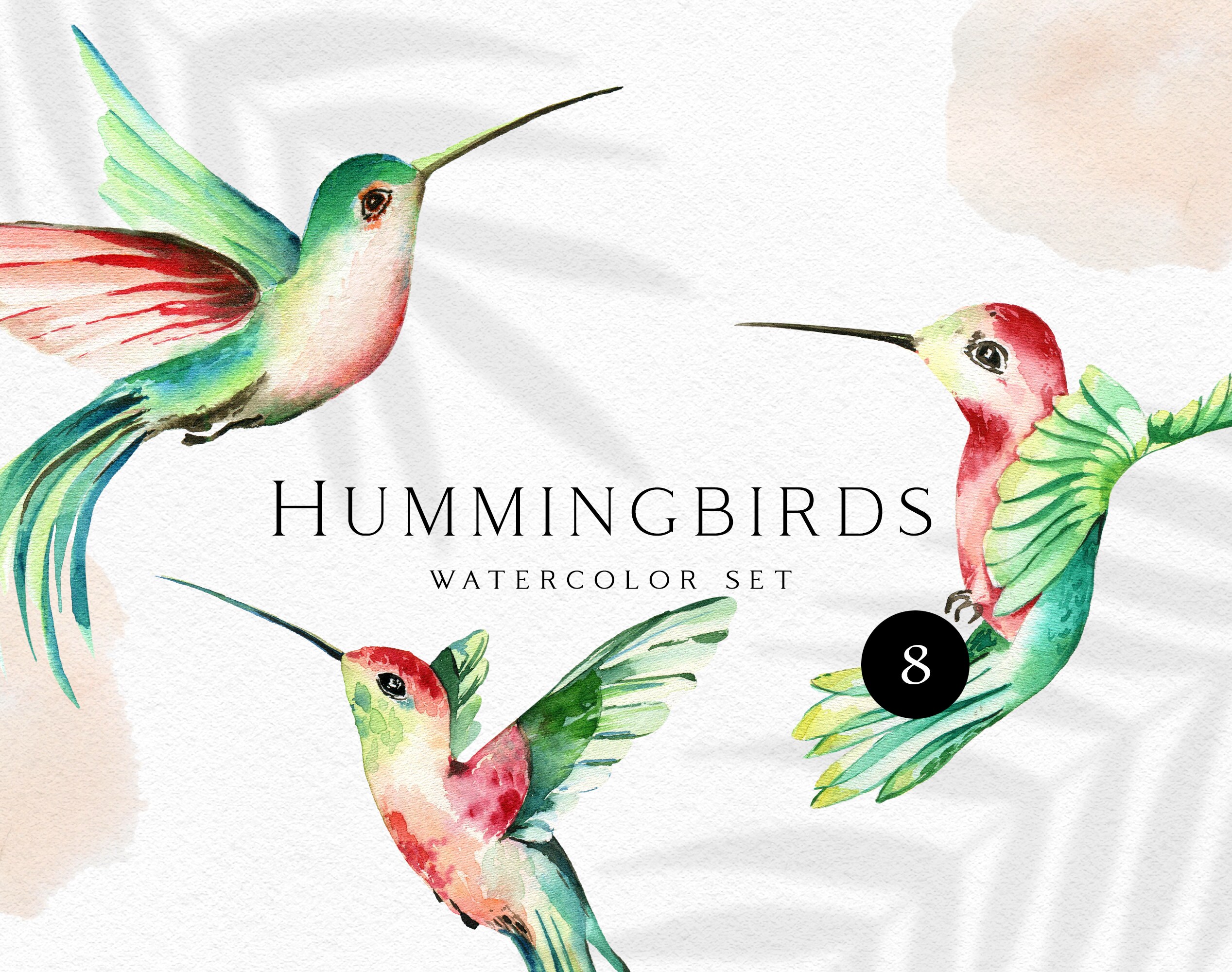 Watercolor Hummingbird Clipart. Tropical Clipart With Humming - Etsy Norway