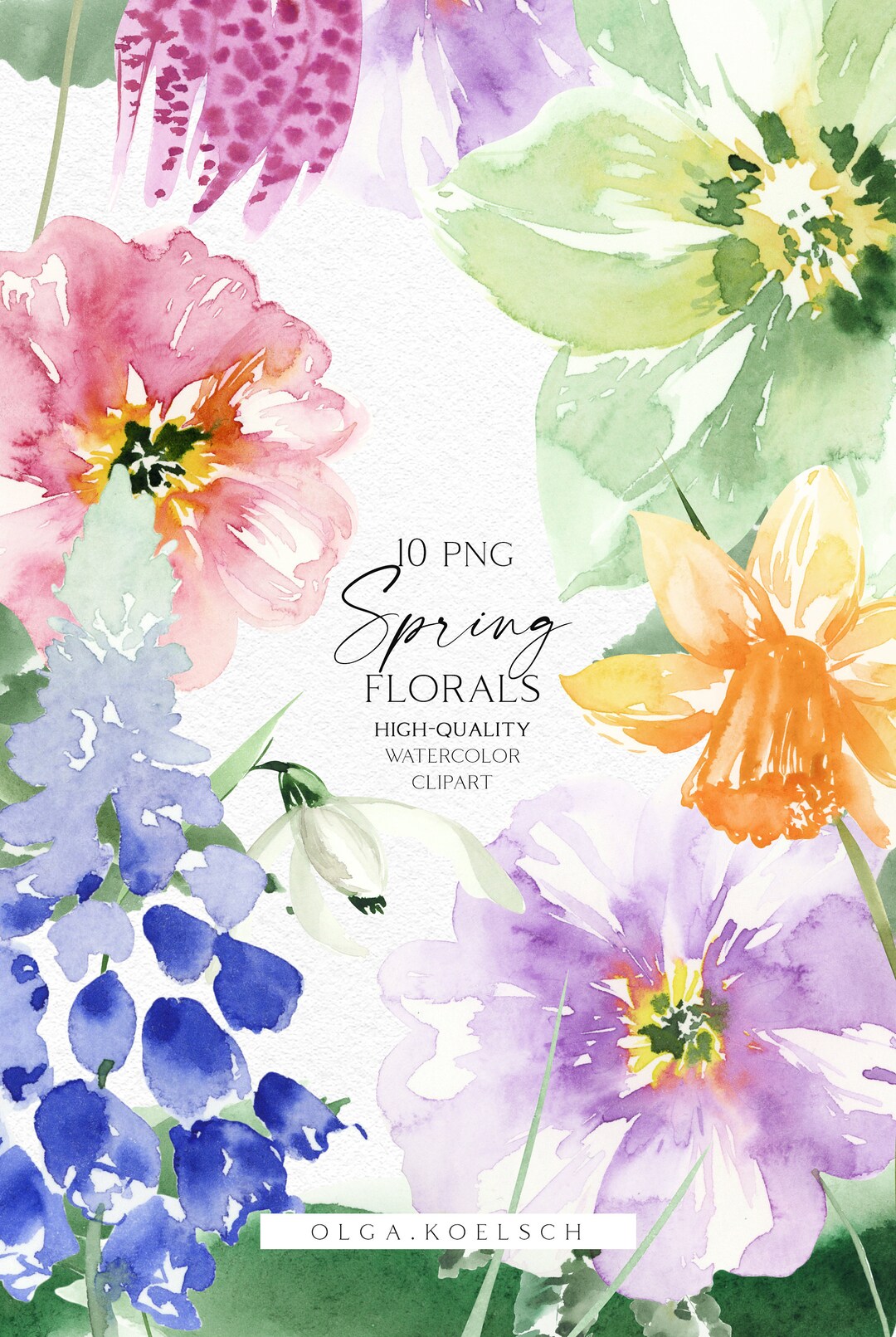 Watercolor Spring Flower Clipart, March Birth Flower Daffodil Png ...