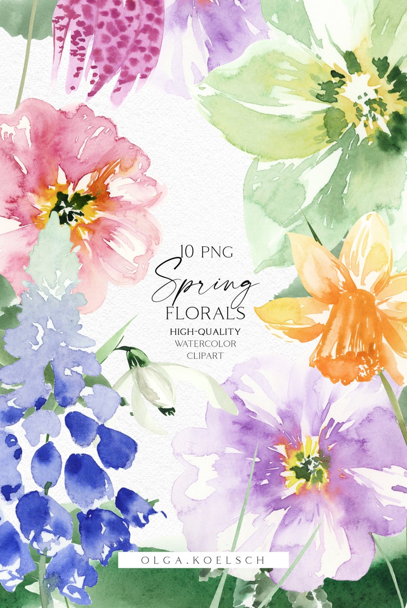 Watercolor Spring Flower Clipart March Birth Flower Daffodil - Etsy