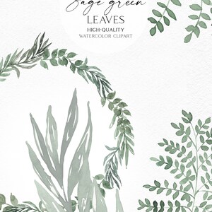 Watercolor Greenery Clipart, Sage Green Leaves Png, Gold and Green Leaf ...