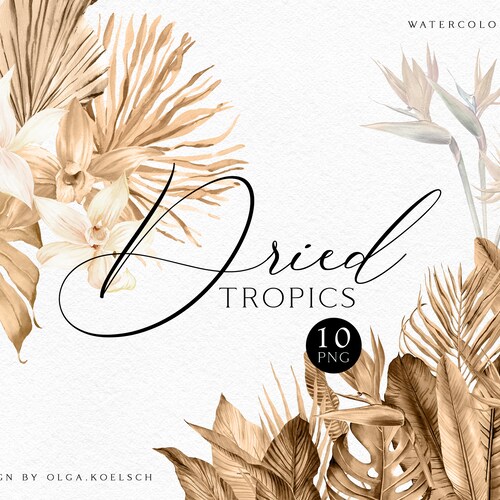 Watercolor Boho Dried Flower Bouquet Clipart Boho Watercolor - Etsy