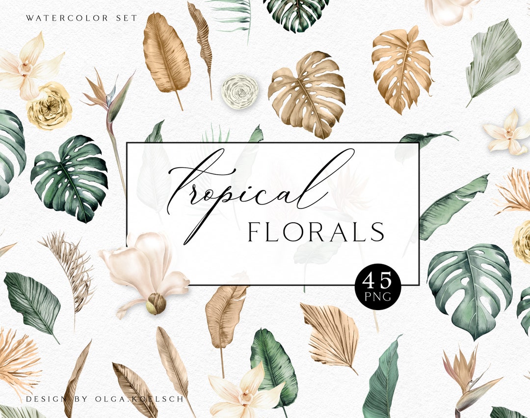 Floral Tropical Clipart. Boho Tropical Flowers. Dried Palm Watercolor ...