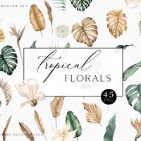 Tropical Clipart - Etsy