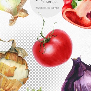 Watercolor Vegetables Clipart, Cute Food Clipart, Garden Clipart ...