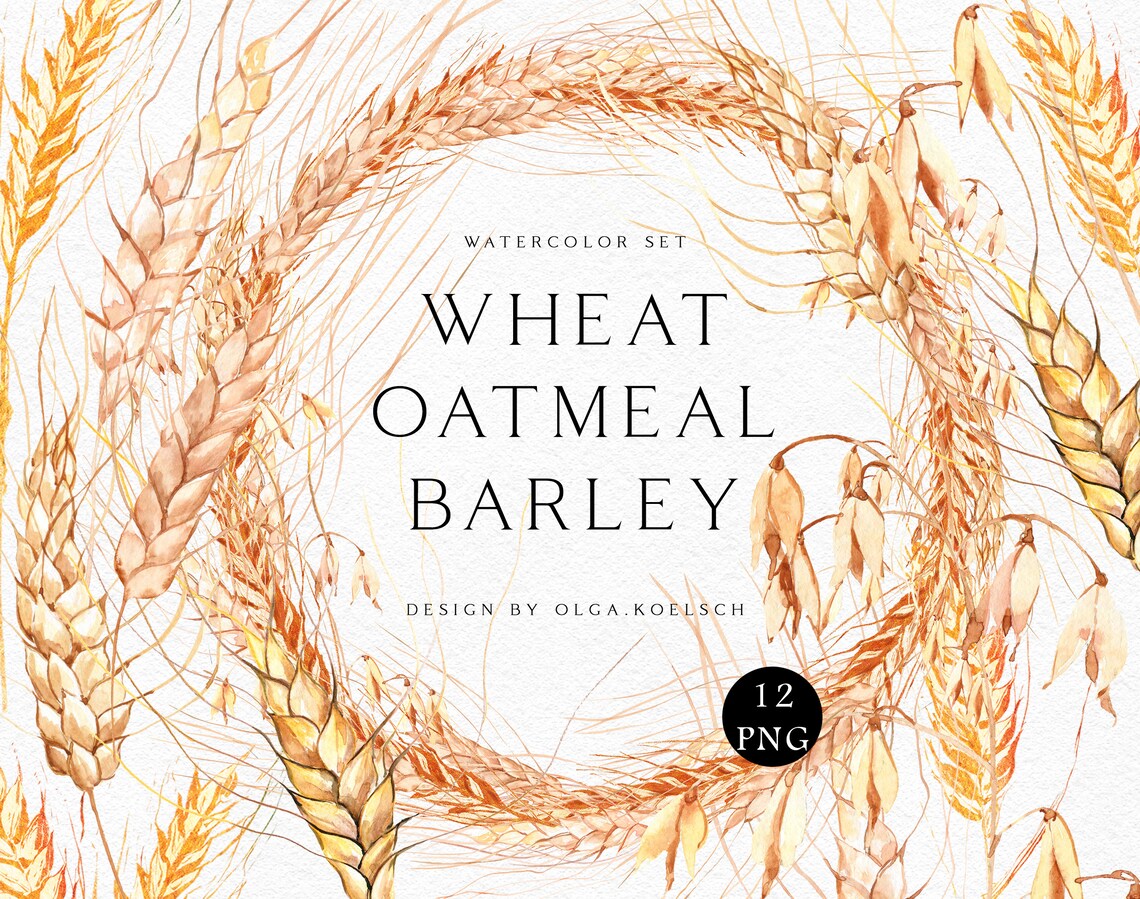 Watercolor Wheat Clipart Oatmeal Barley Clipart. Wheat - Etsy