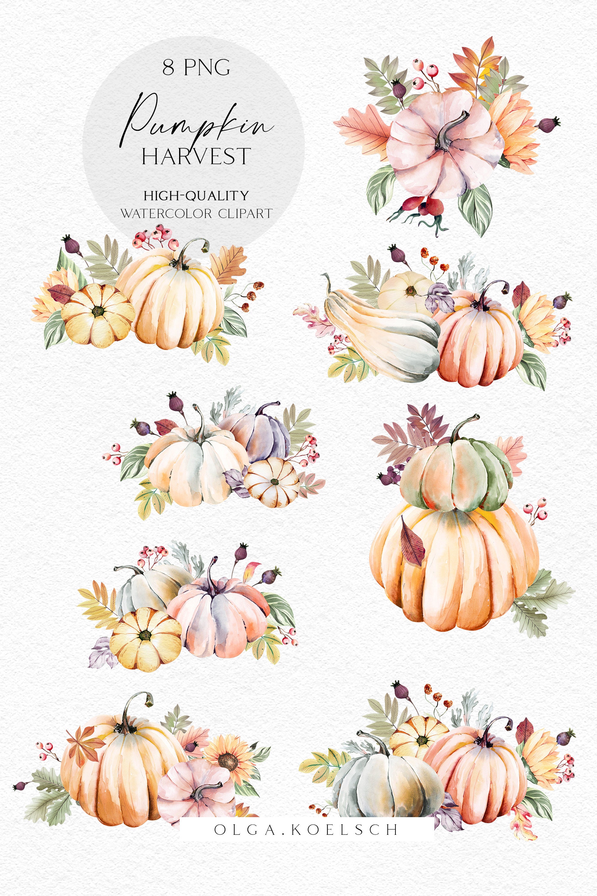 Watercolor Pumpkin Clipart Fall Pumpkin Png Garden Icons - Etsy Canada