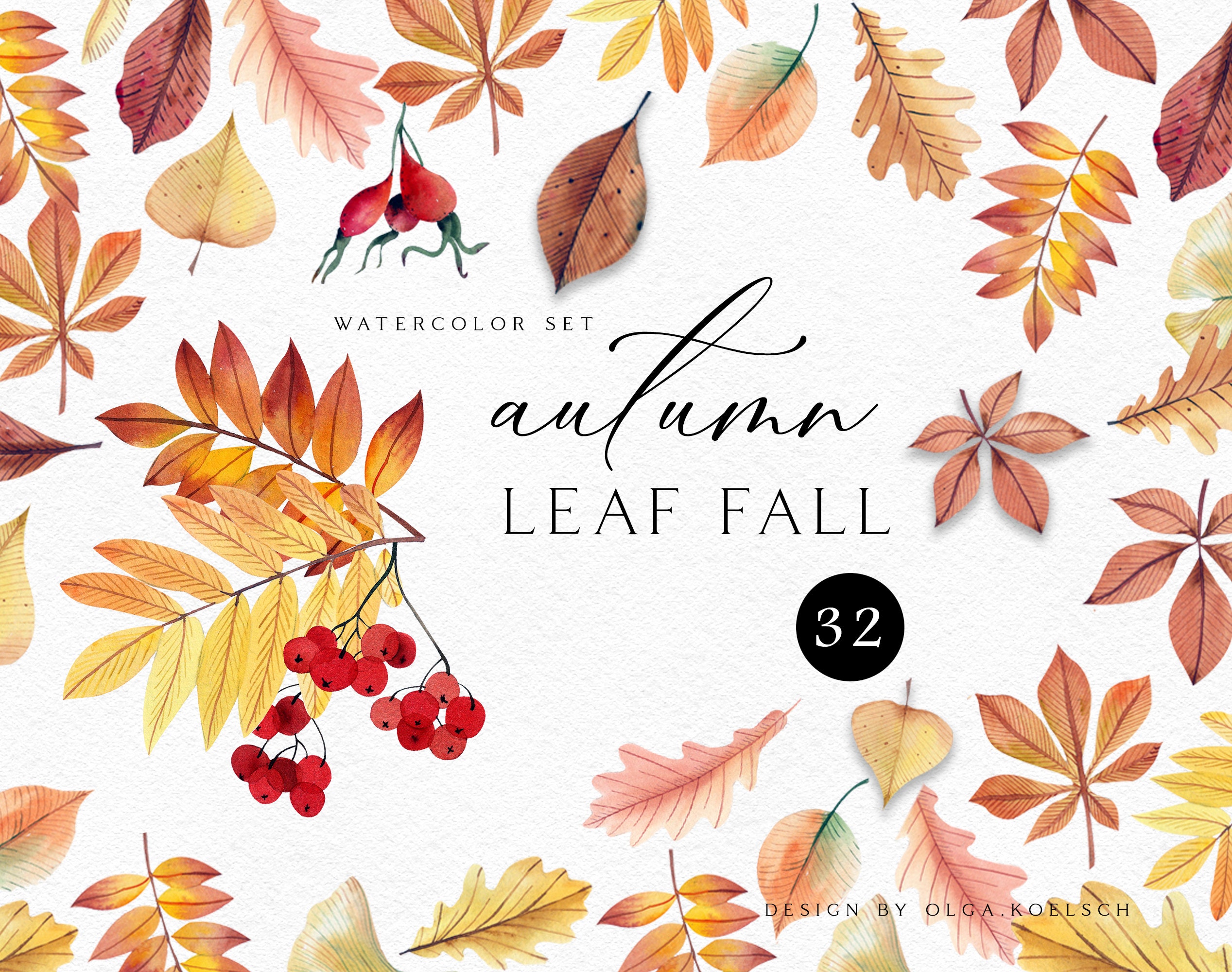 Watercolor Autumn Leaves Clipart Cute Fall Clipart for | Etsy
