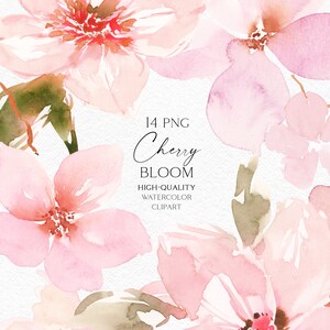 Cherry Blossom Clipart. Watercolor Sakura Blossom Png, Pink Floral ...