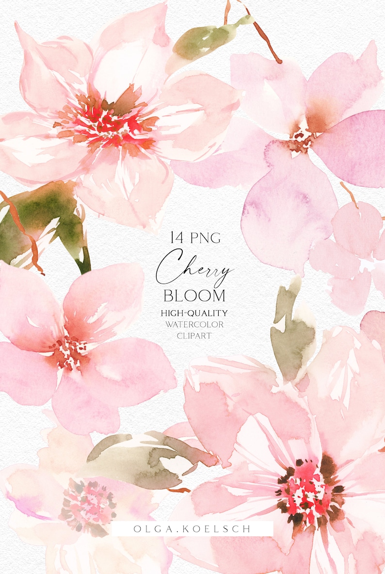 Cherry Blossom Clipart. Watercolor Sakura Blossom Png Pink - Etsy