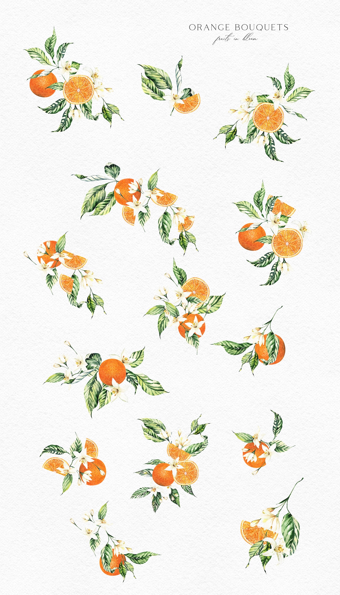 Watercolor Orange Clipart Oranges Fruits Png Citrus Wedding - Etsy