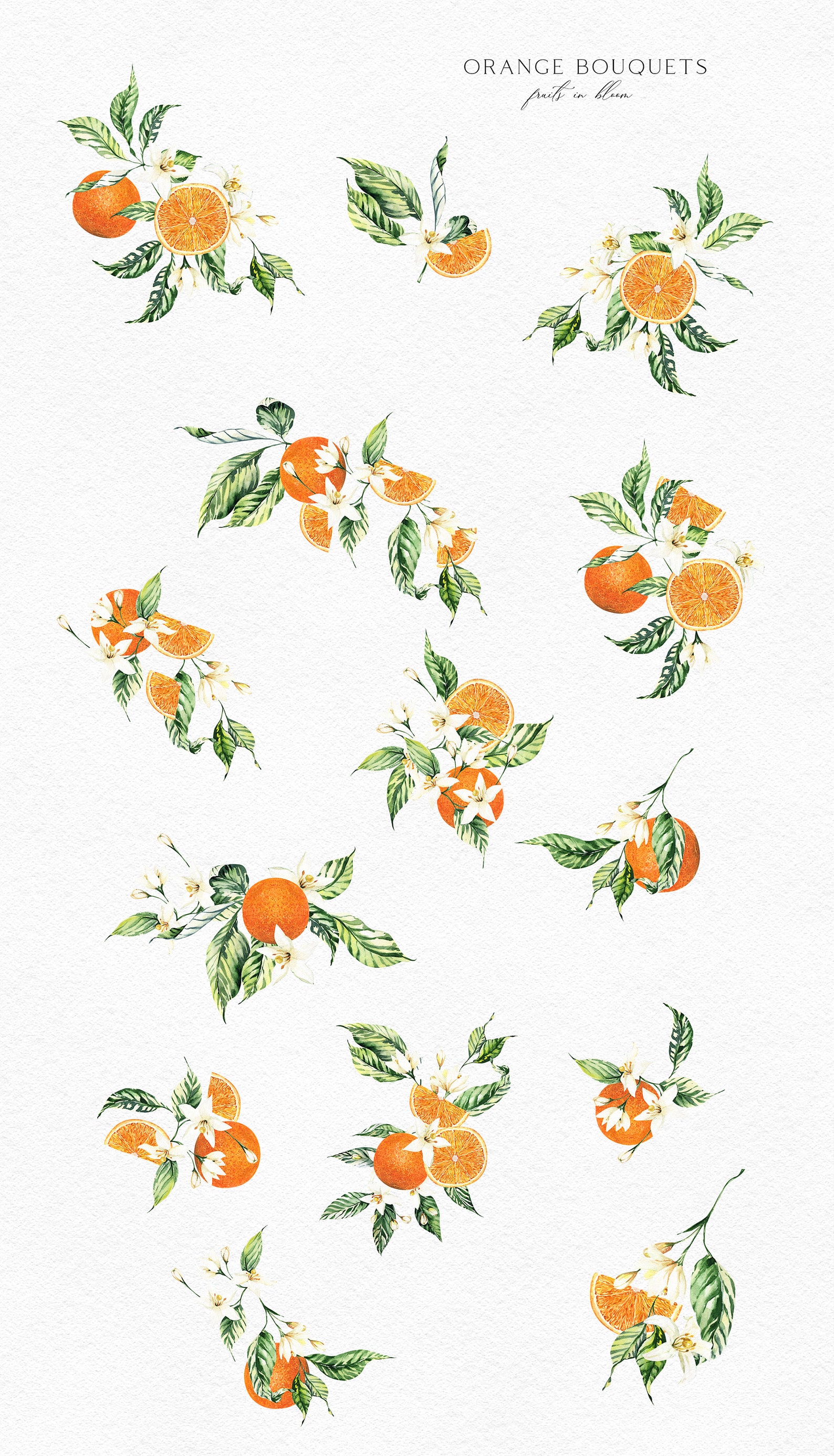 Watercolor Orange Clipart Oranges Fruits Png Citrus Wedding - Etsy