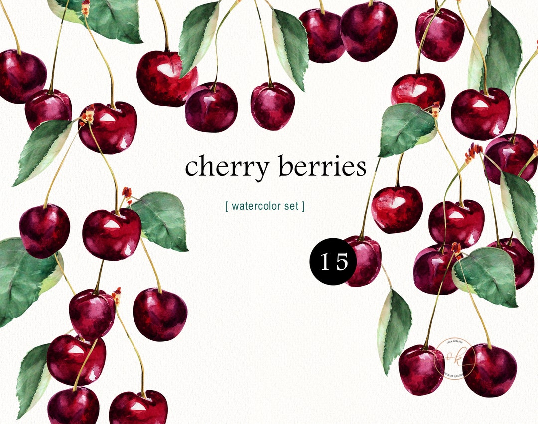 Watercolor Cherry Clipart, Summer Garden PNG (15 Files) - Etsy