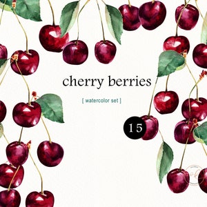 Watercolor Cherry Clipart. Birthday Decorations Summer Clipart. Garden ...