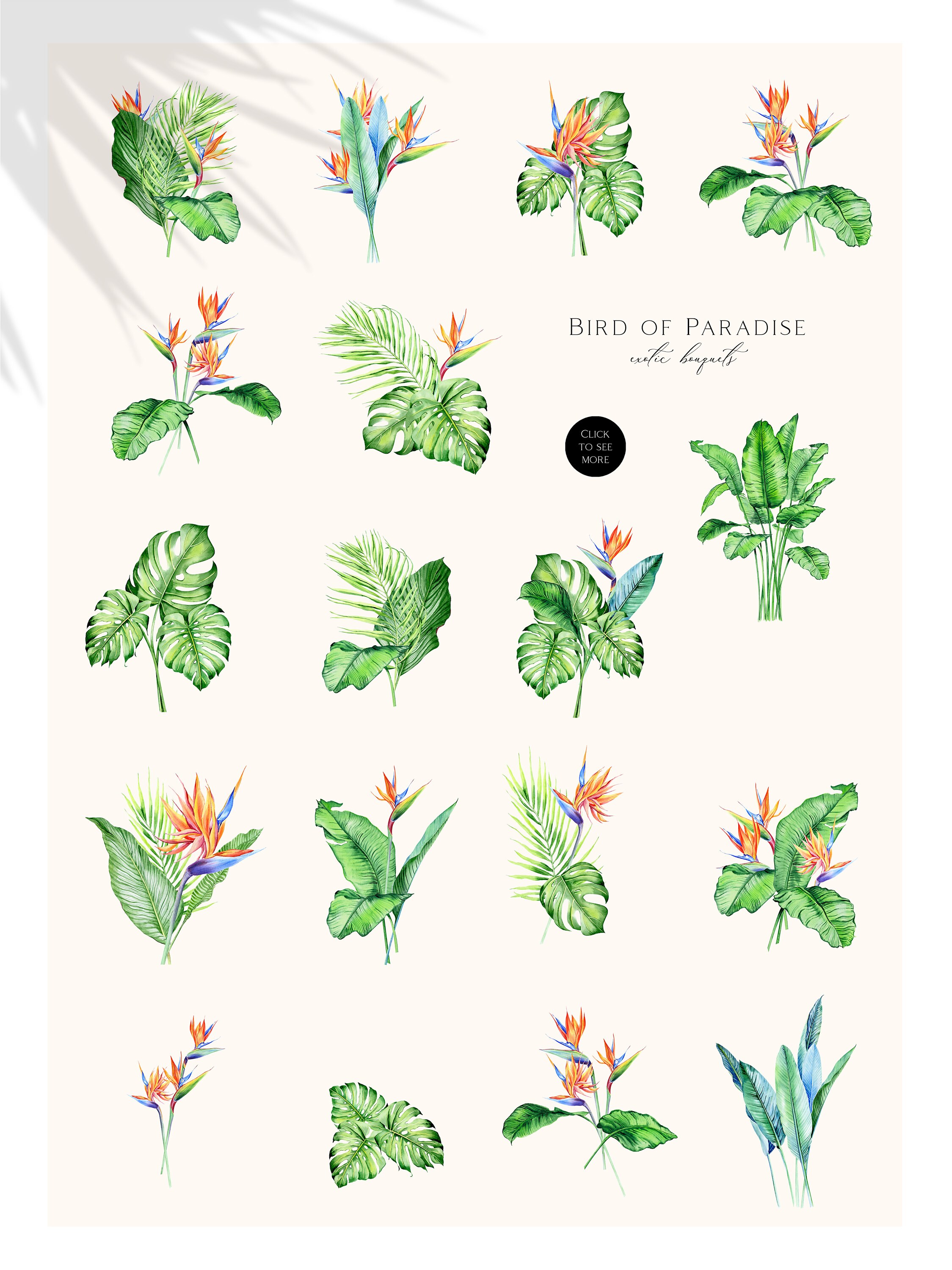 Watercolor Tropical Clipart. Greenery Palm Leaves Png - Etsy
