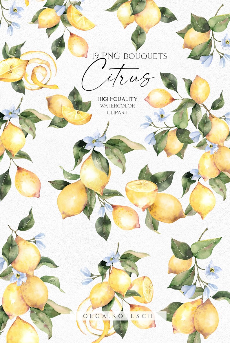 Watercolor Citrus Clipart Tropical Wedding Bouquets With | Etsy