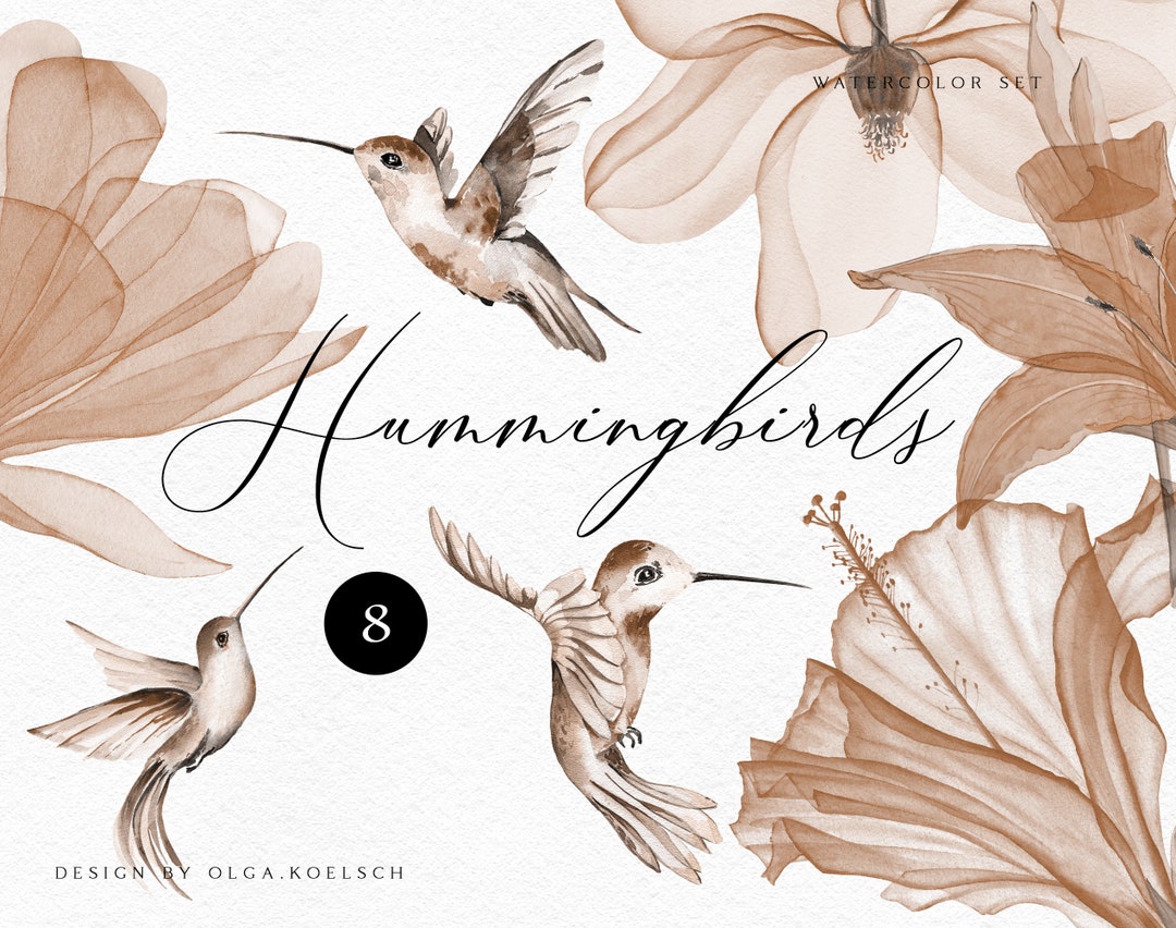 Watercolor Hummingbird Clipart. Beige Hibiscus Clipart With Humming ...