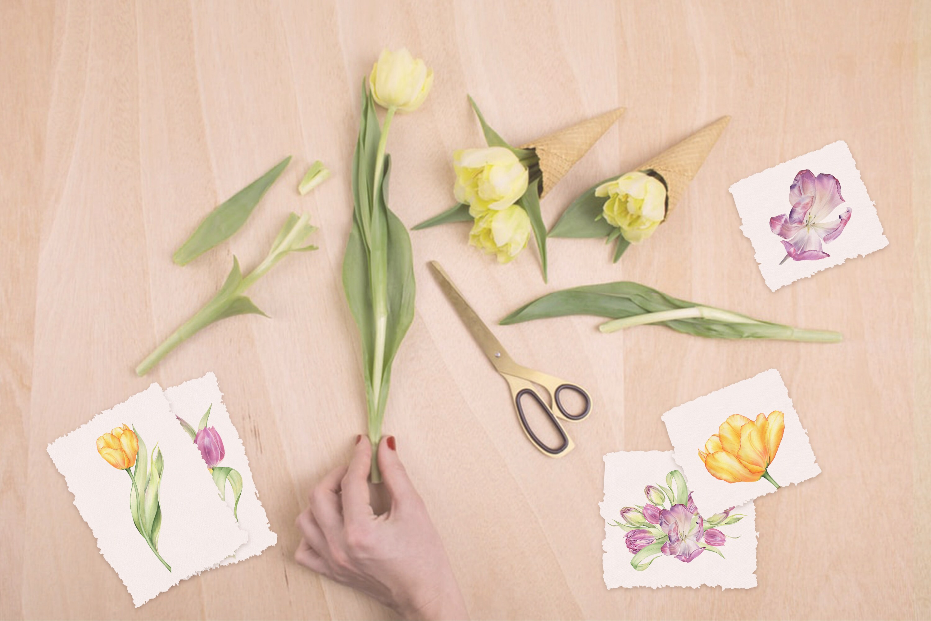 Watercolor Tulips Clipart, Easter Flowers Watercolor Clip Art, Hand ...