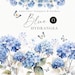 Watercolor Hydrangea Clipart, Blue Floral Borders Png for Wedding ...