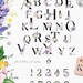 Boho Floral Alphabet Clipart Wedding Floral Alphabet Png - Etsy
