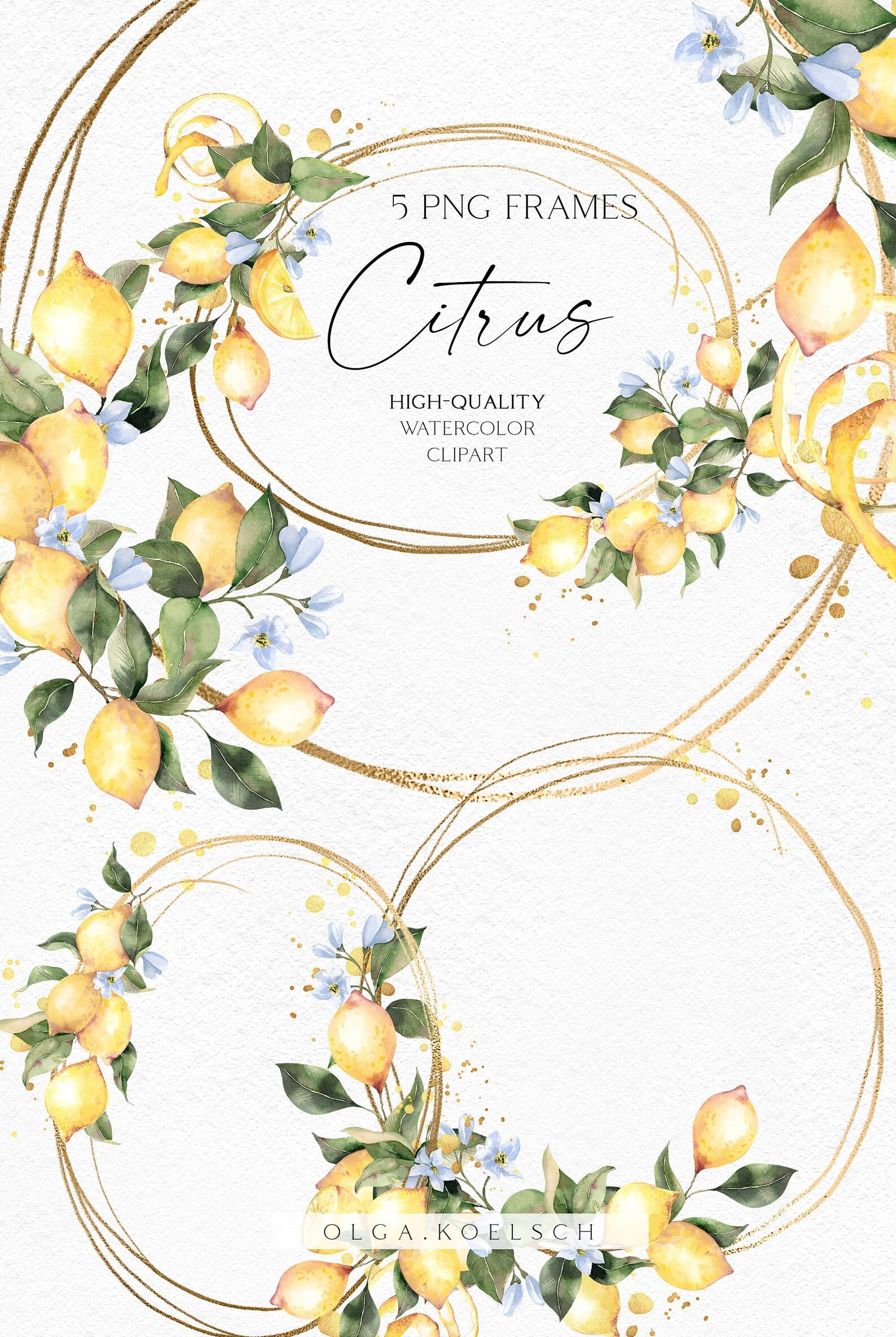 Watercolor Citrus Clipart Lemon Floral Frames Png Boho - Etsy