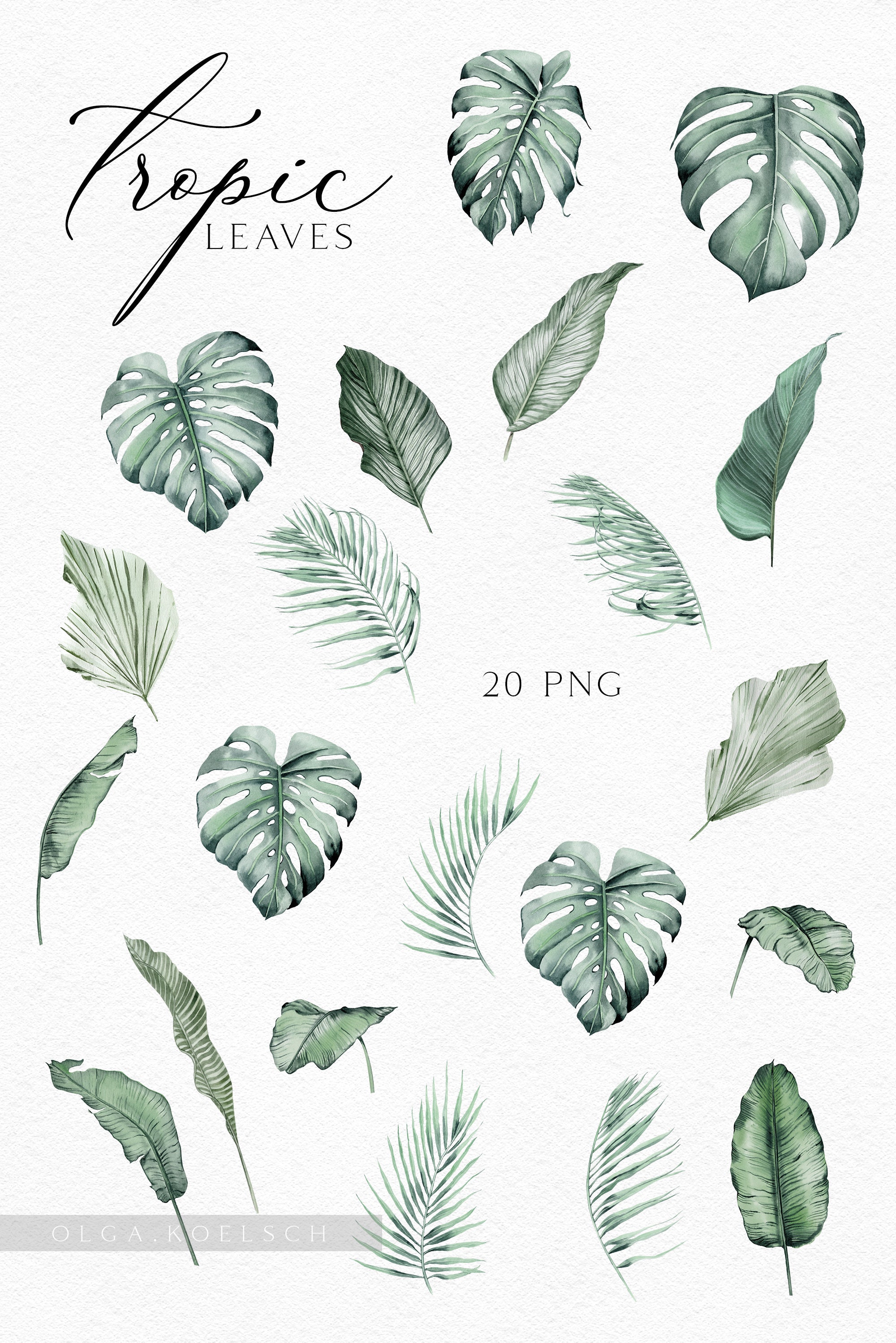 Watercolor Tropical Leaves Clipart. Hand Drawn Greenery | Etsy