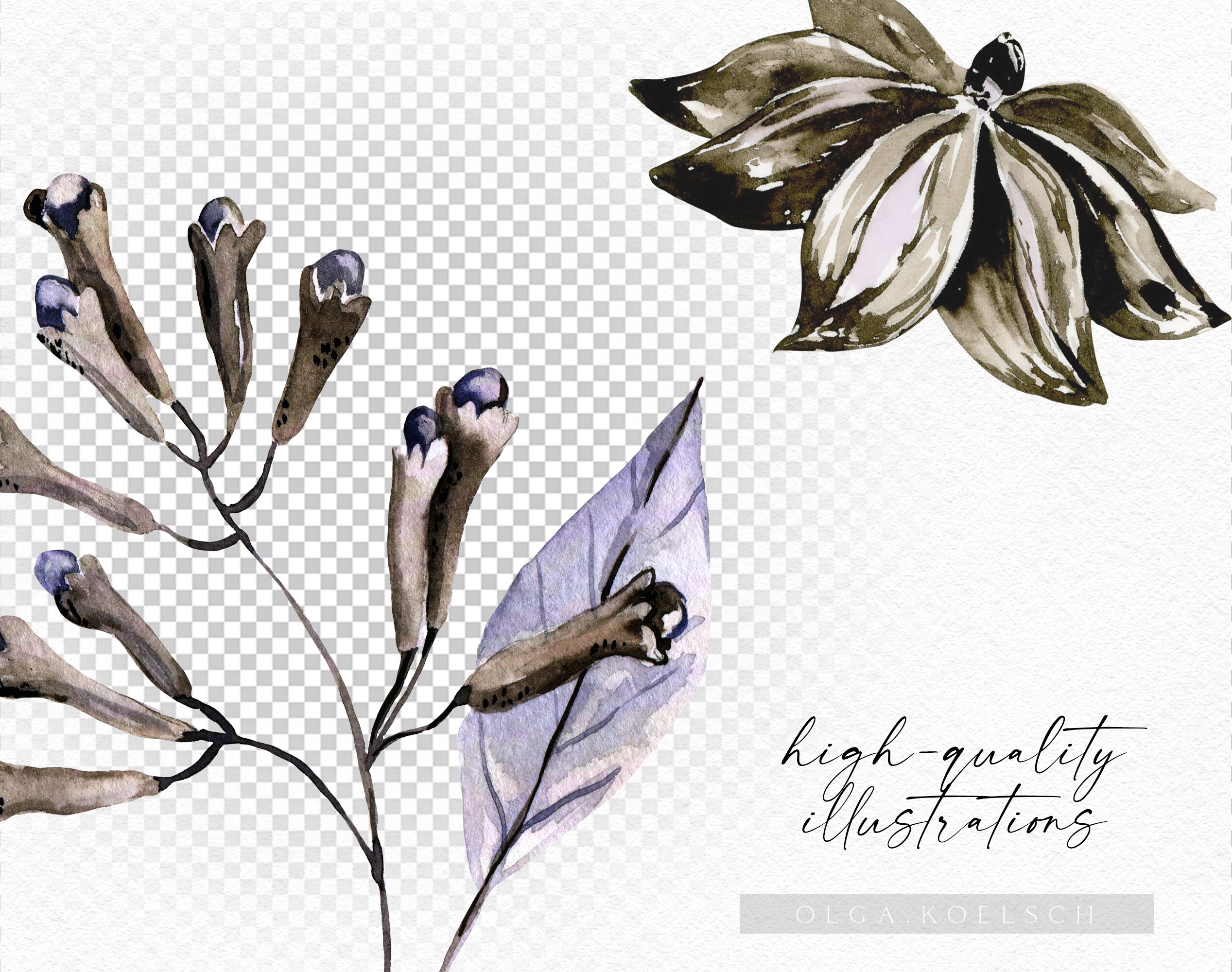 Spices Watercolor Clipart Kitchen Labels With Spices Png - Etsy Canada