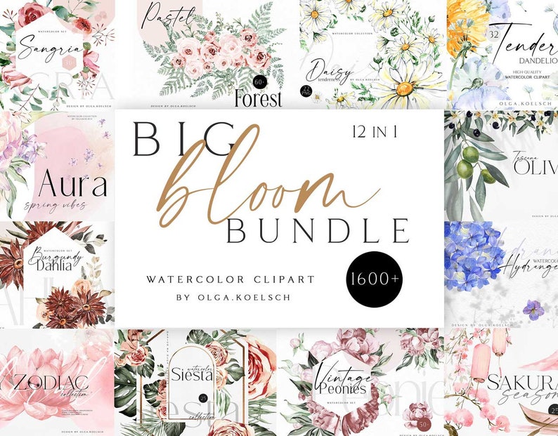 Watercolor Boho Floral Clipart Bundle Rose Clipart for - Etsy