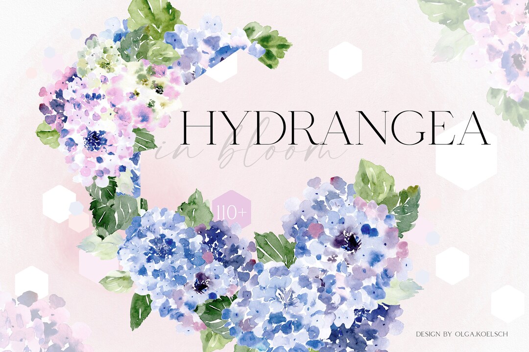 Watercolor Dusty Blue Hydrangea Bundle, Dusty Purple, Violet Flower ...