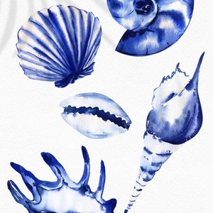 Watercolor Seashell Set Clipart. Blue Seashell Summer Clipart. Planner ...