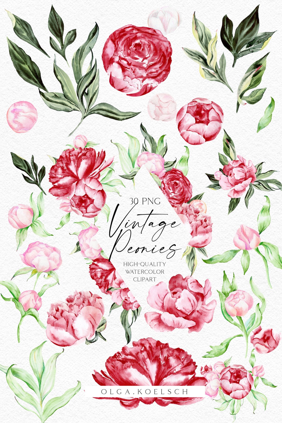 Boho Peonies Watercolor Clipart Set for DIY Mother's Day Cards - Etsy