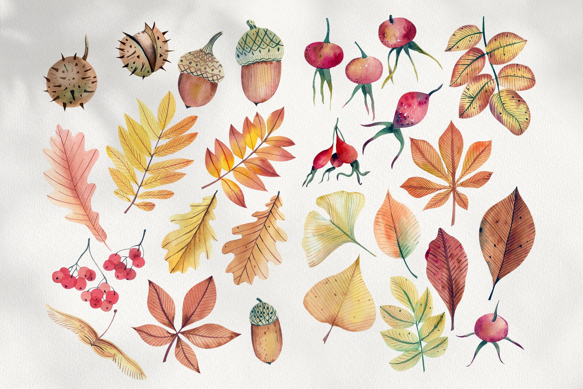 Watercolor Autumn Leaves Clipart Cute Fall Clipart for | Etsy