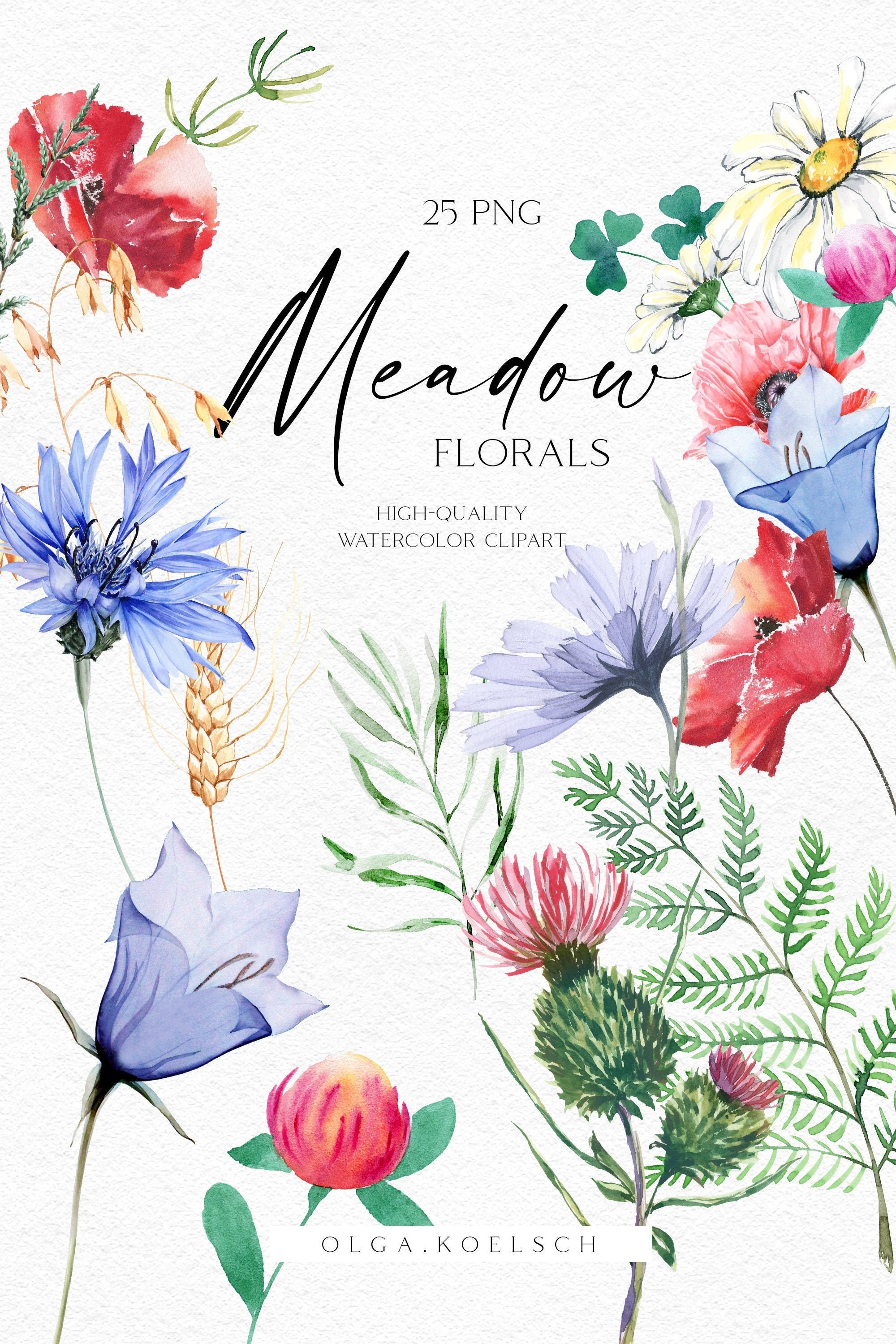 Watercolor Boho Flower Clipart Wild Flower Png Elements - Etsy