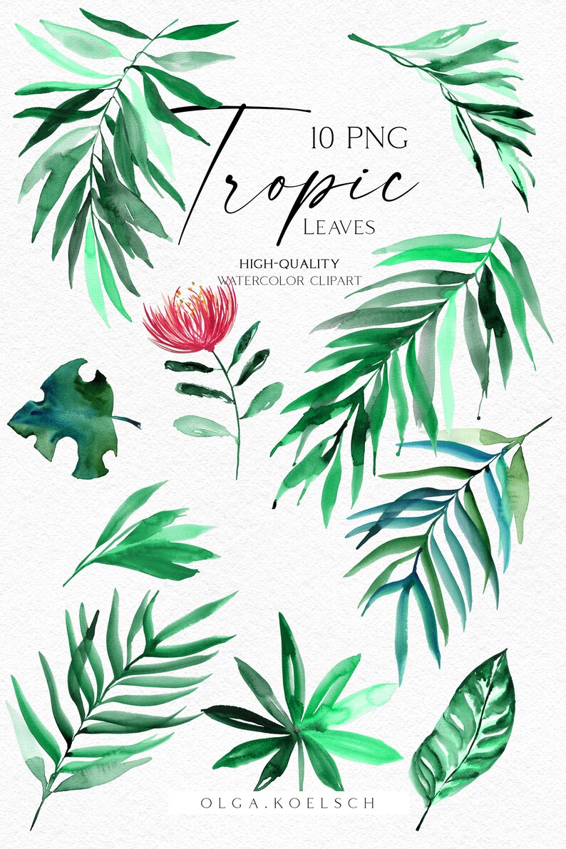 FREEBIE Clipart Watercolor Tropical Greenery Clipart Wedding - Etsy