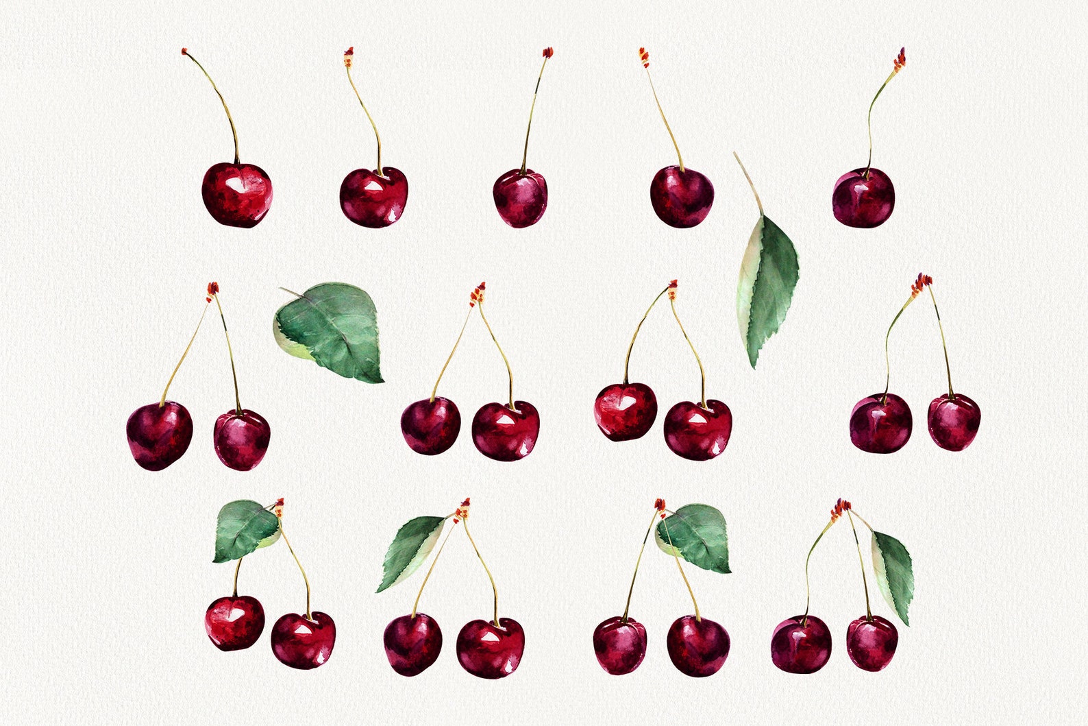 Watercolor Cherry Clipart, Summer Garden PNG (15 Files) - Etsy