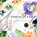 Watercolor Essential Oil Clipart, Bottles and Herbs Clipart for Self ...