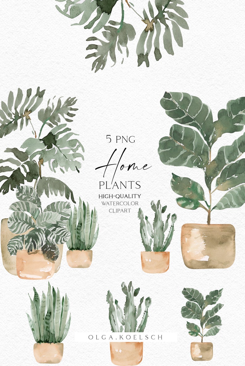 Watercolor Greenery Clipart Home Plants Png Green Leaves - Etsy