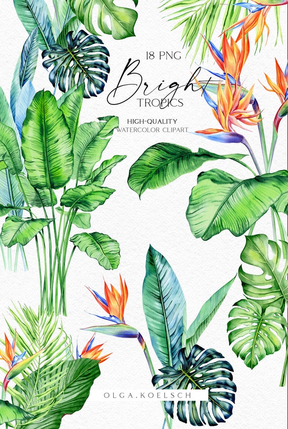 Watercolor Tropical Clipart. Greenery Palm Leaves Png - Etsy