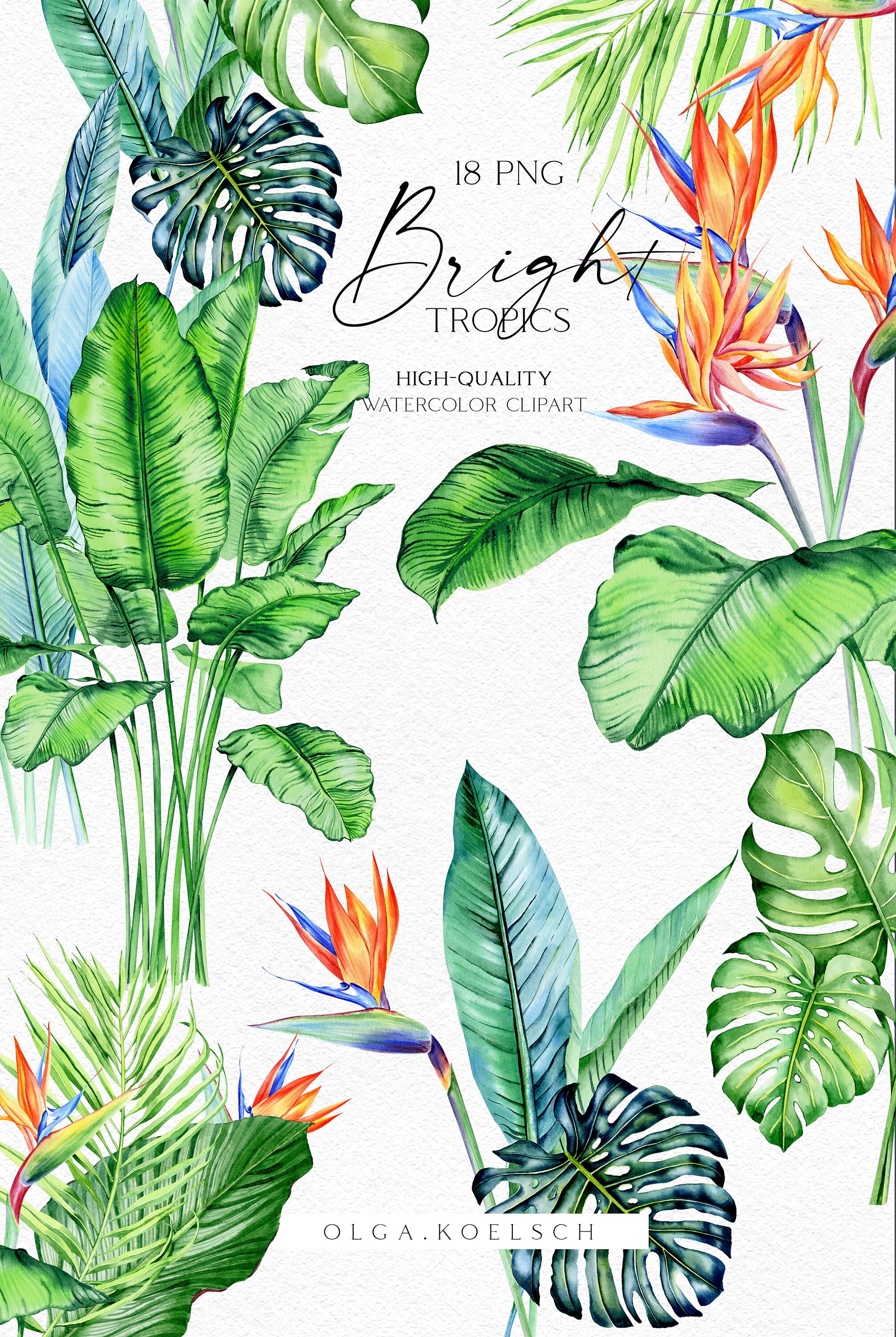 Watercolor Tropical Clipart. Greenery Palm Leaves Png - Etsy