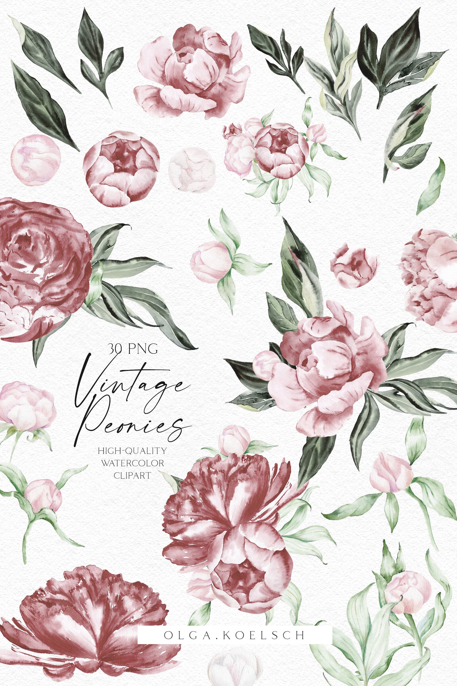 Watercolor Boho Floral Elements Clipart Dusty Pink Flowers - Etsy